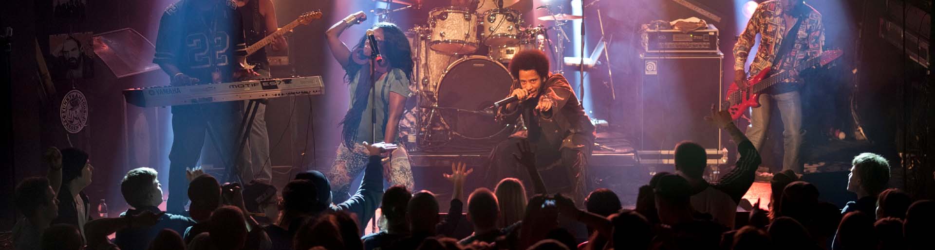 Funky Elephant - Funky Amigos